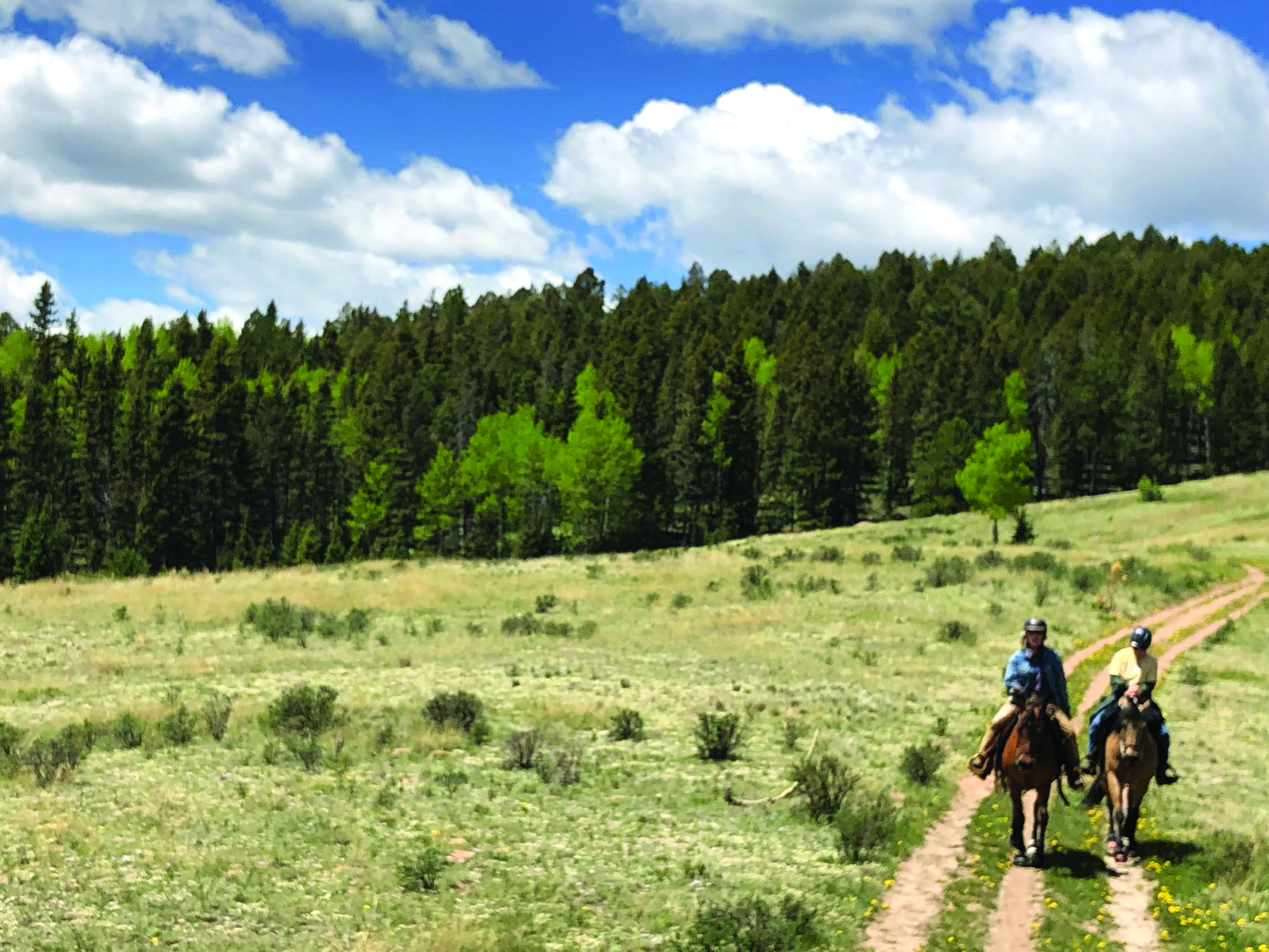 2022 Summer Horse Schedule Colorado Serenity Online 2022 Summer Horse Schedule Colorado Serenity Online